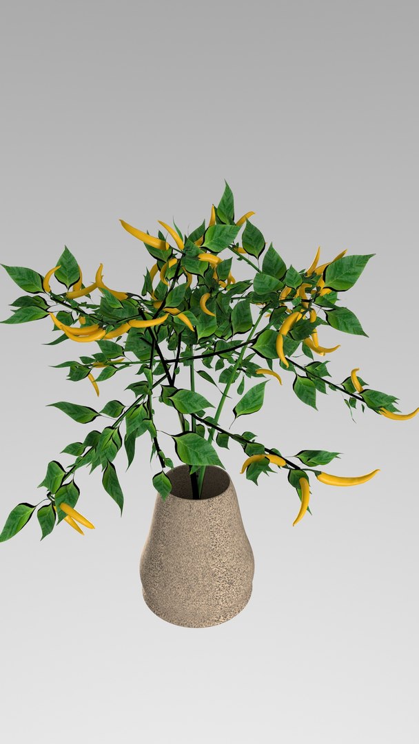 3D Pepper Plant - TurboSquid 1392507
