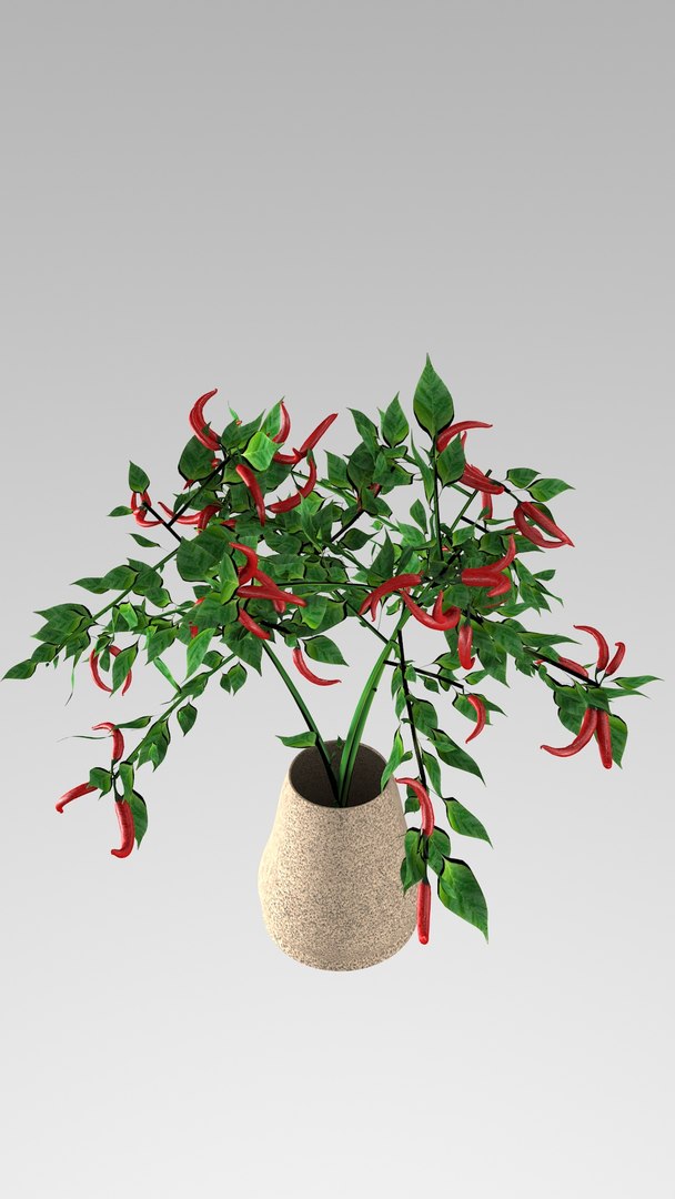 3D Pepper Plant - TurboSquid 1392507
