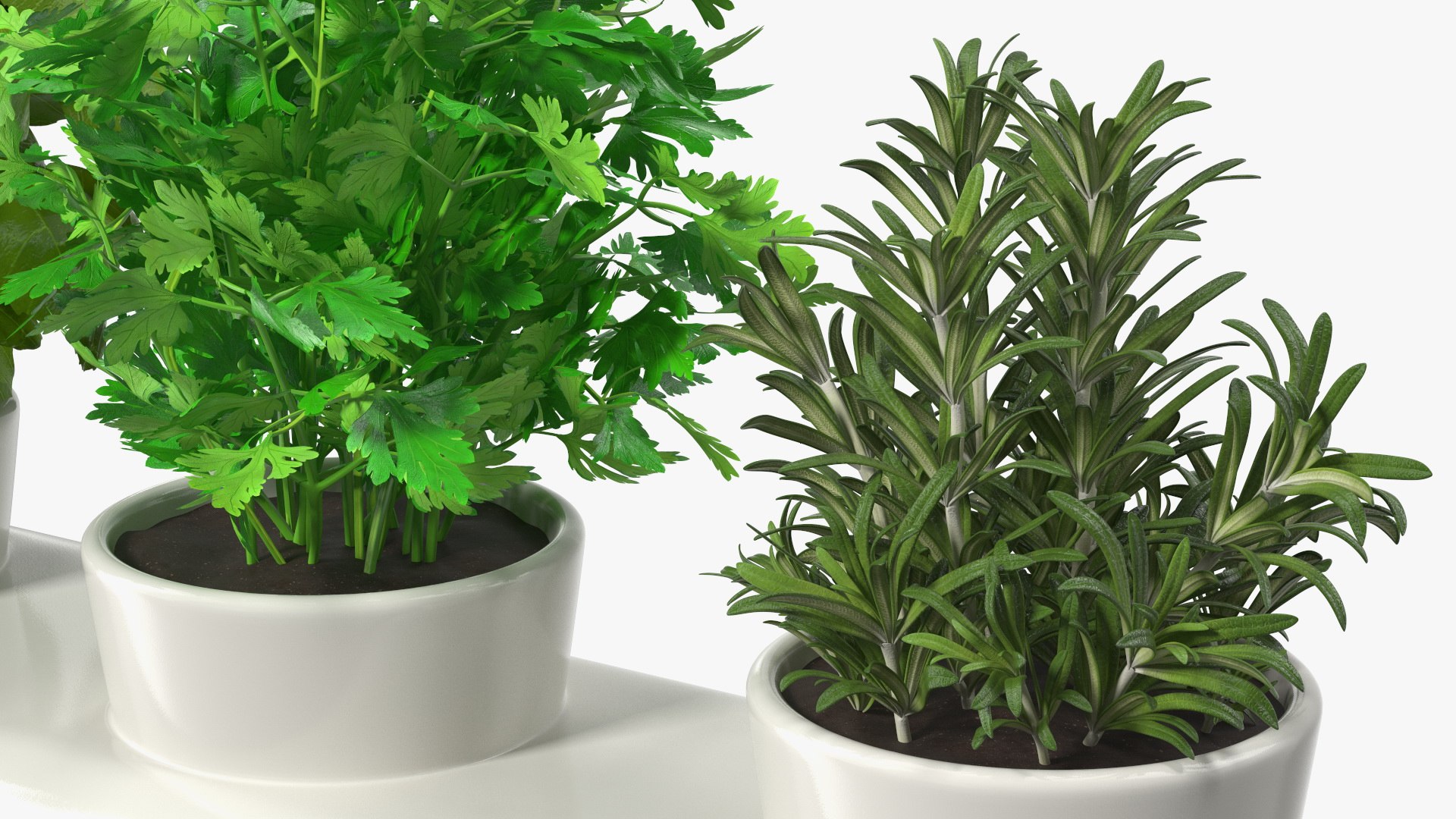 3D Trio Pot With Herbs Sagaform White Model - TurboSquid 2217924