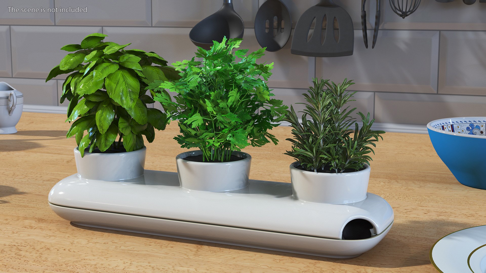 3D Trio Pot With Herbs Sagaform White Model - TurboSquid 2217924