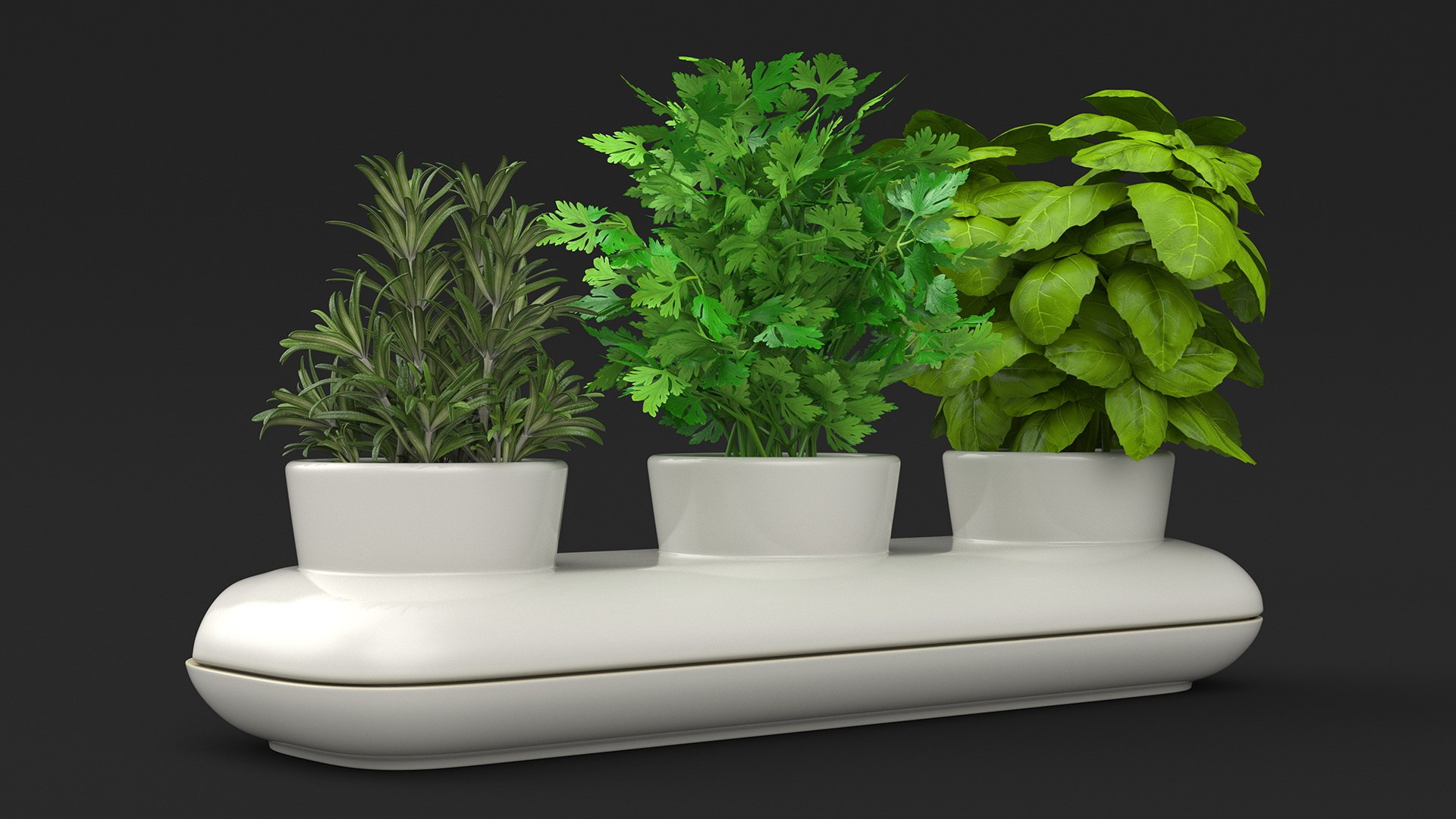 3D Trio Pot With Herbs Sagaform White Model - TurboSquid 2217924