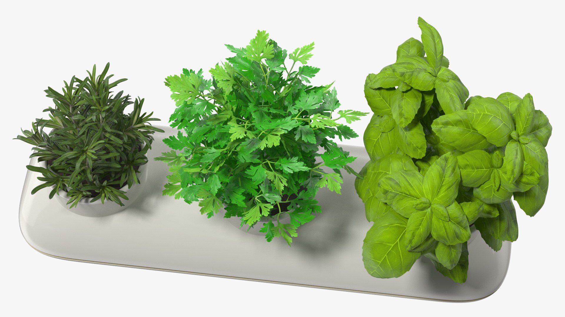 3D Trio Pot With Herbs Sagaform White Model - TurboSquid 2217924