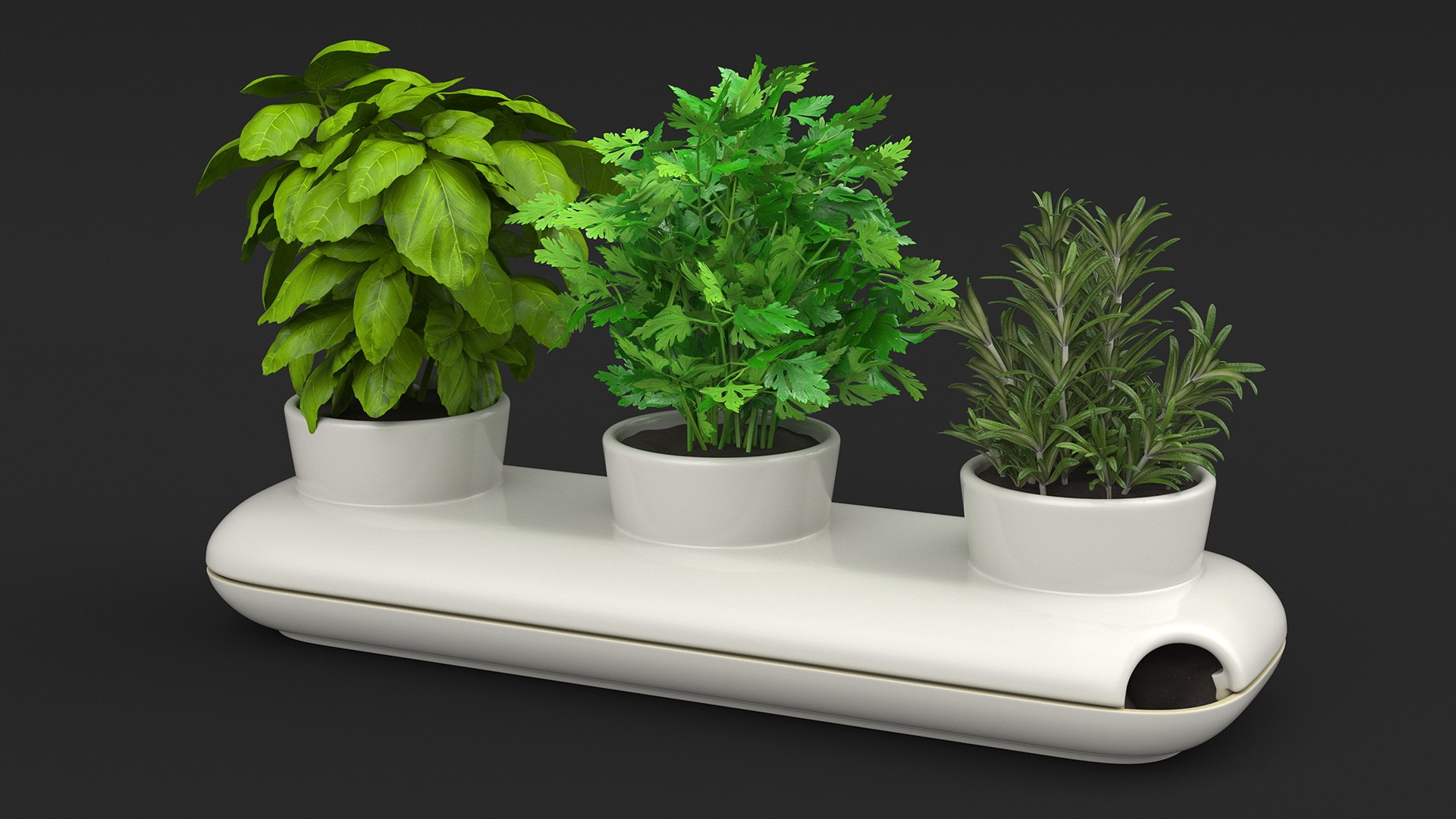 3D Trio Pot With Herbs Sagaform White Model - TurboSquid 2217924