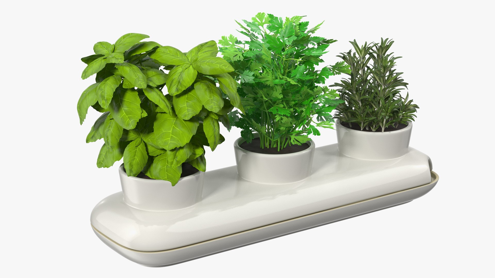 3D Trio Pot With Herbs Sagaform White Model - TurboSquid 2217924