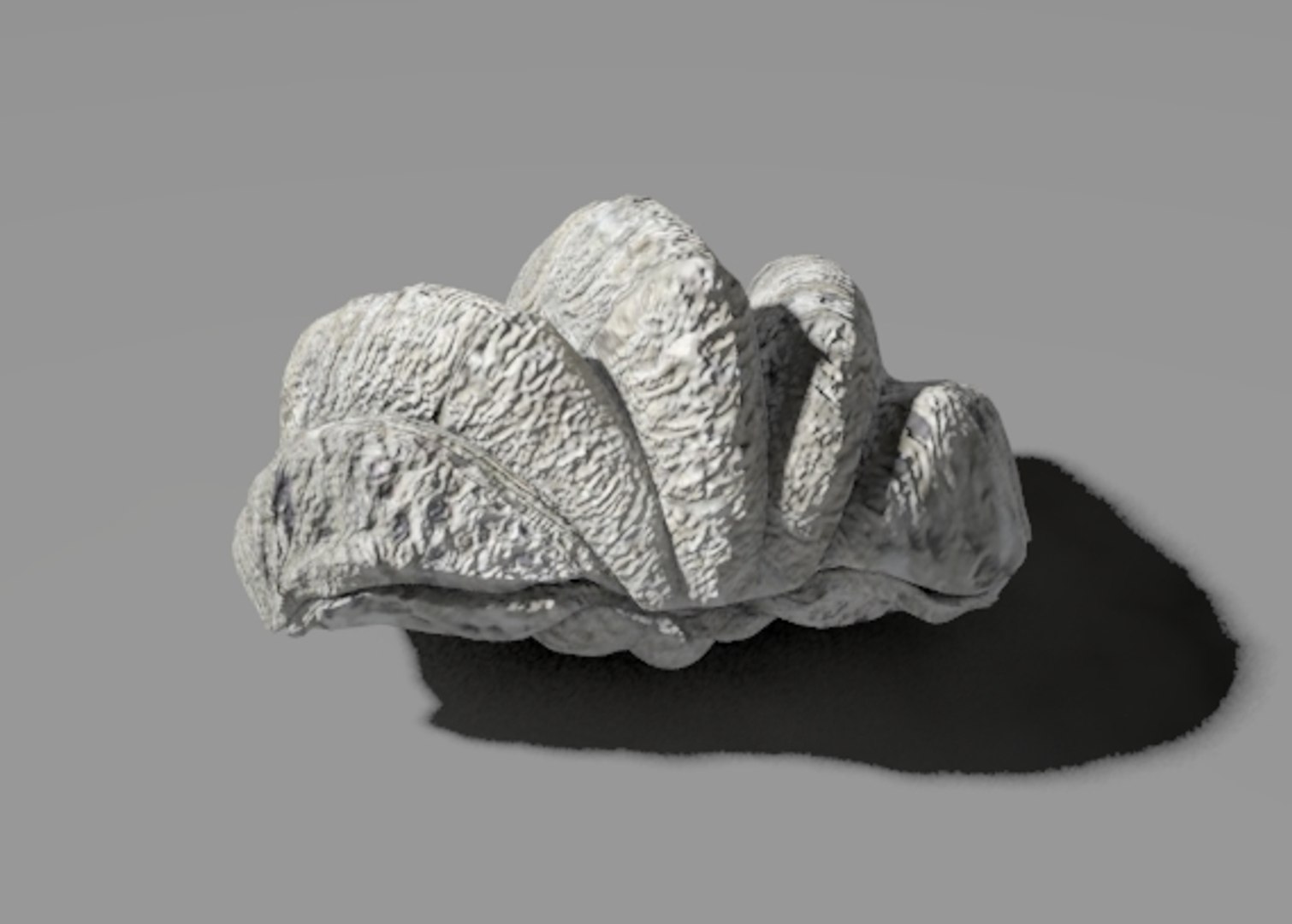 3ds Max Giant Clam