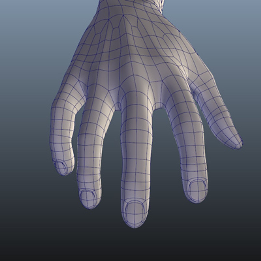 Human Hand Modeled Realistic 3d Model