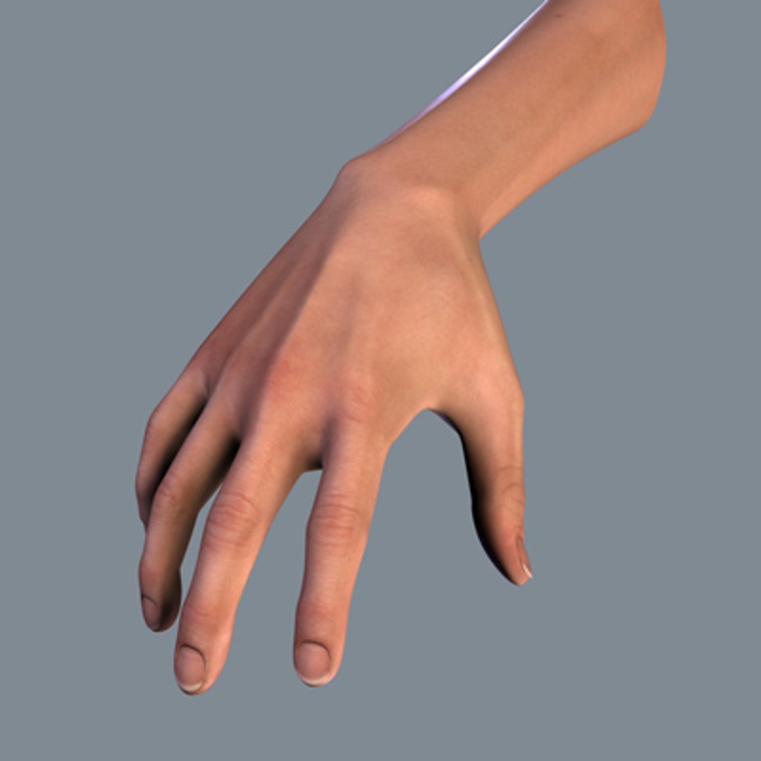 Human Hand Modeled Realistic 3d Model