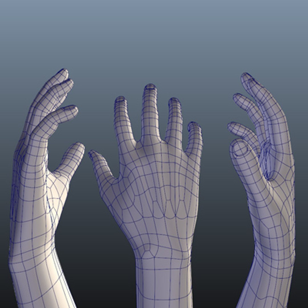 Human Hand Modeled Realistic 3d Model