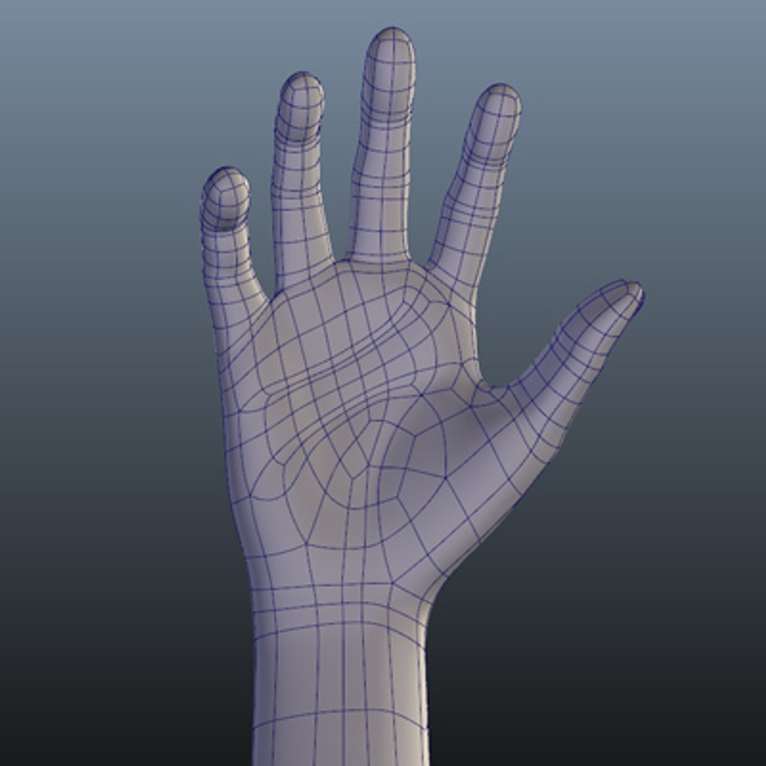Human Hand Modeled Realistic 3d Model
