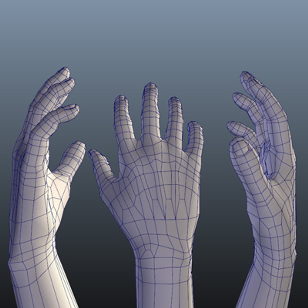 Human Hand Modeled Realistic 3d Model