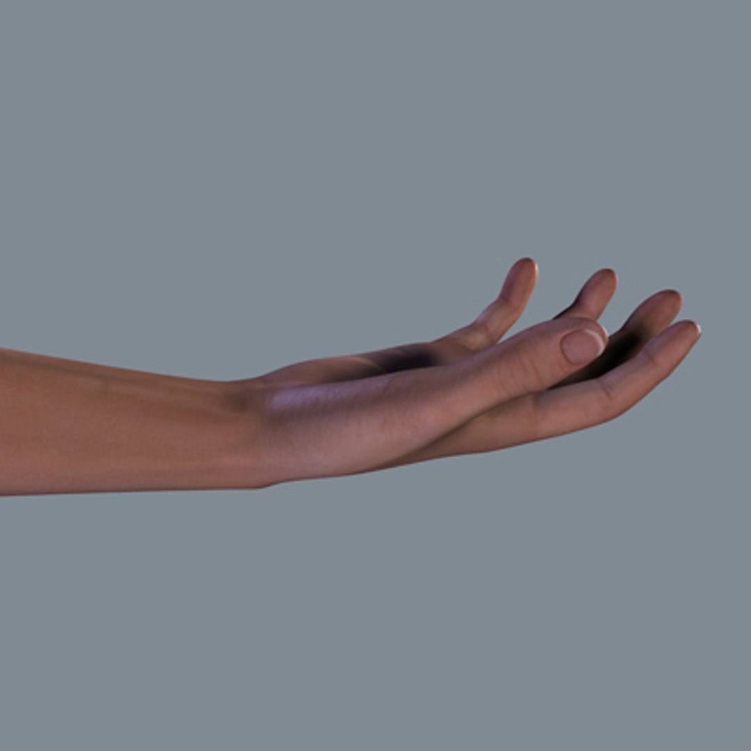 Human Hand Modeled Realistic 3d Model