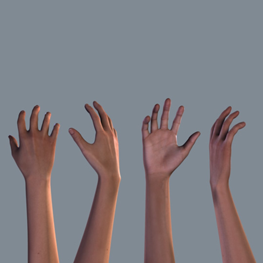 Human Hand Modeled Realistic 3d Model