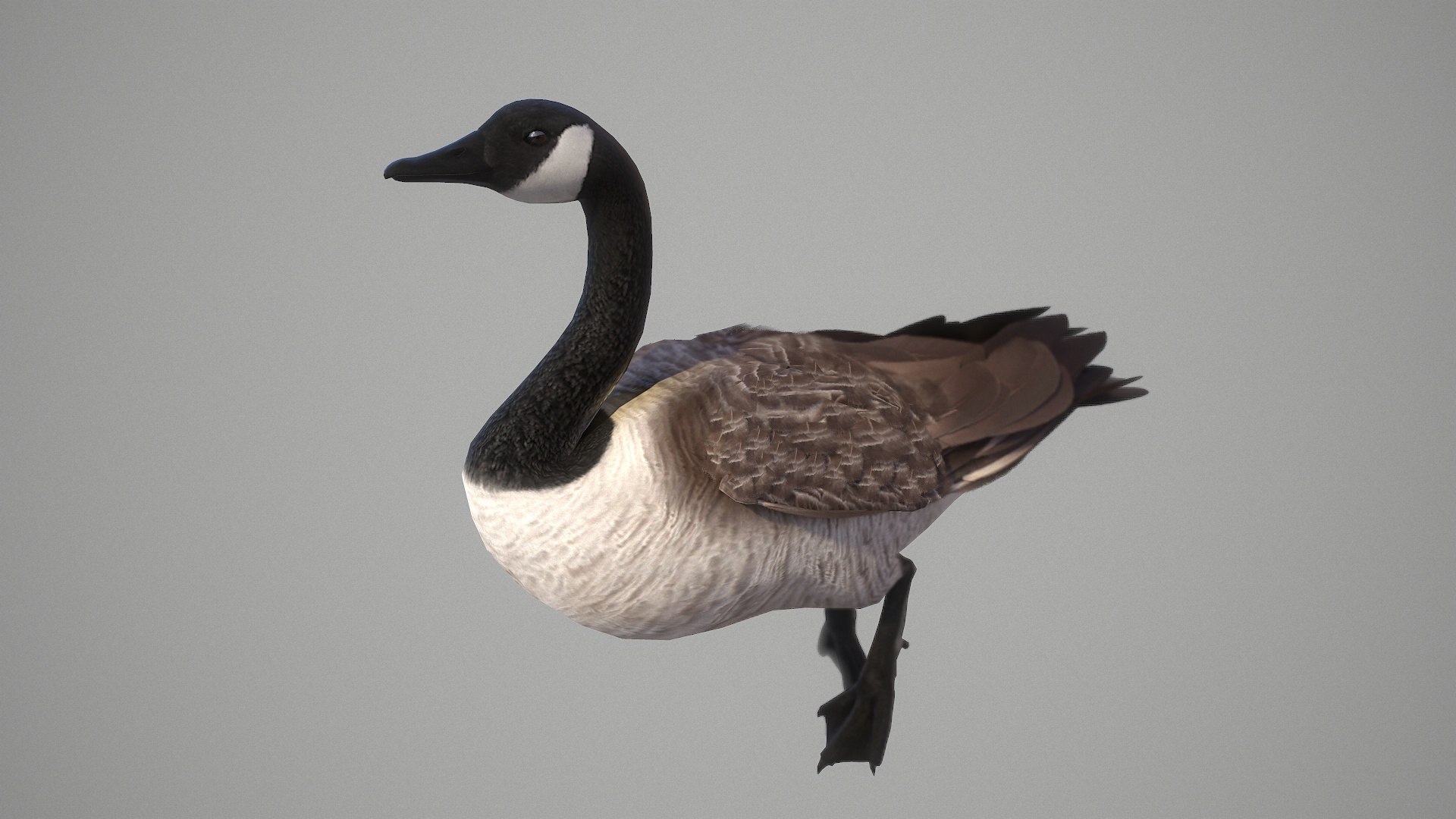 Wild Goose Low-poly 3D Model - TurboSquid 1879258