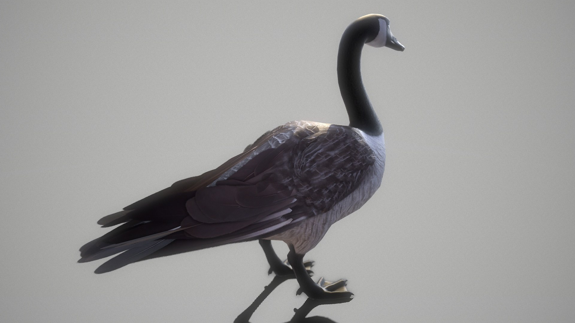 Wild Goose Low-poly 3D Model - TurboSquid 1879258