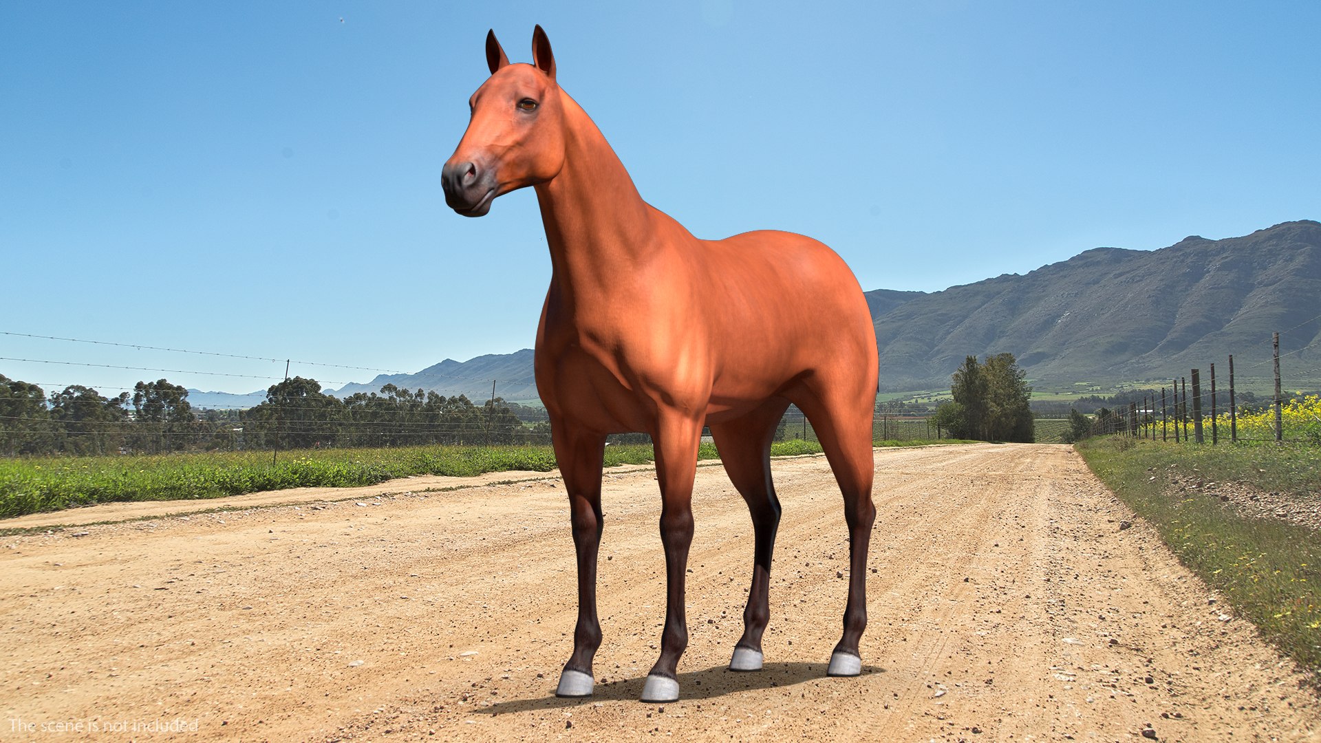 Bay Horse Racing Rigged 3D - TurboSquid 1479135