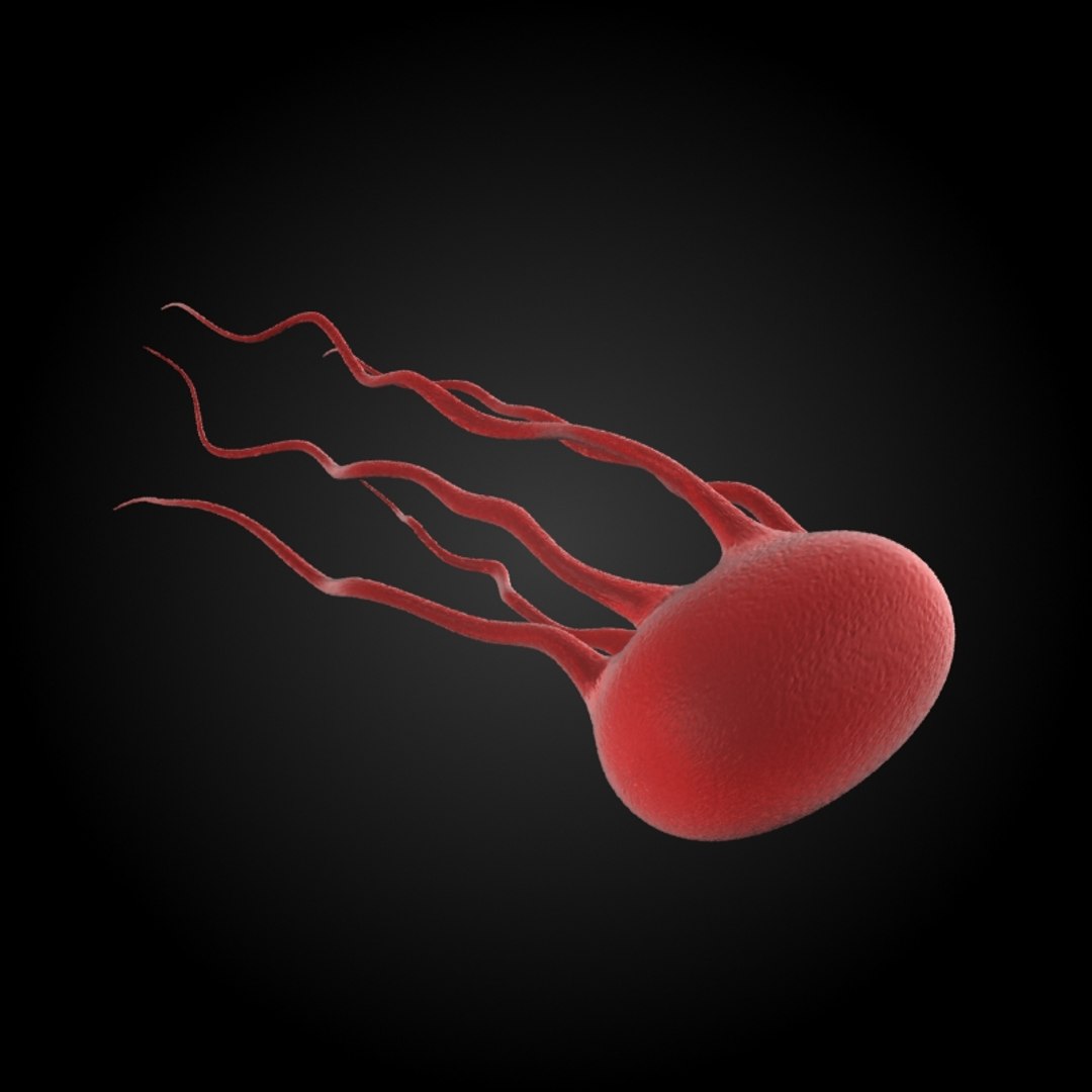 max microbes micro organisms