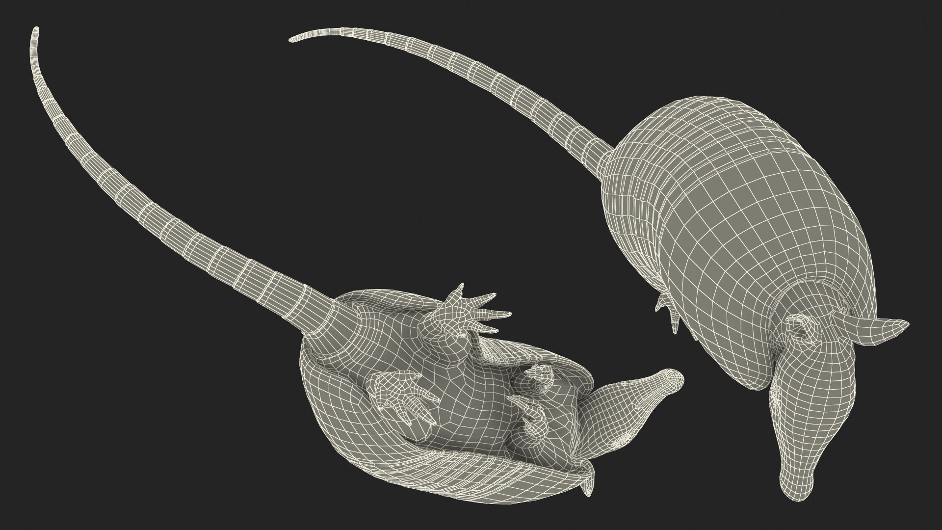Armadillo In Hind Legs Pose Pink 3D Model - TurboSquid 2248059