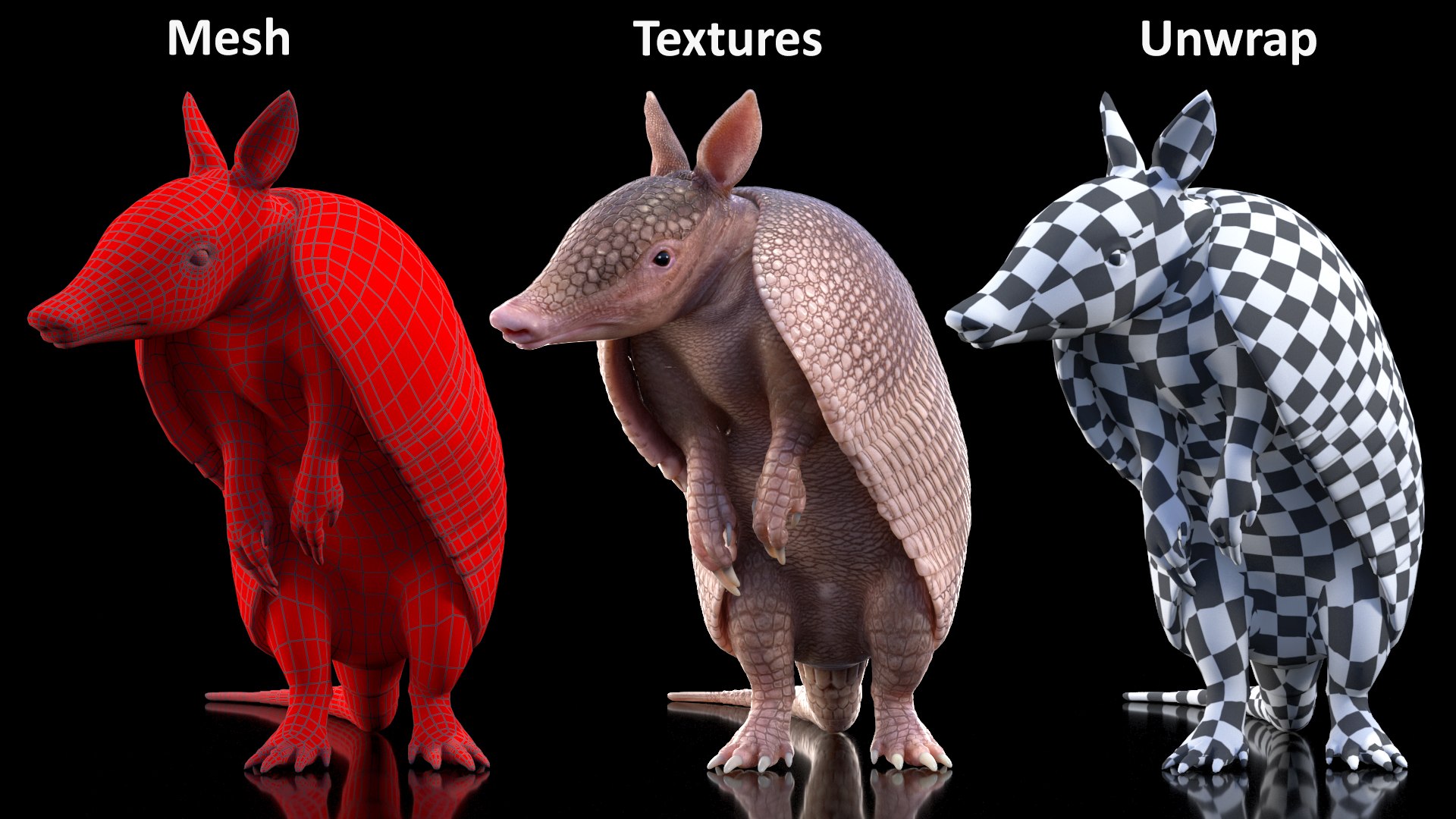 Armadillo In Hind Legs Pose Pink 3D Model - TurboSquid 2248059