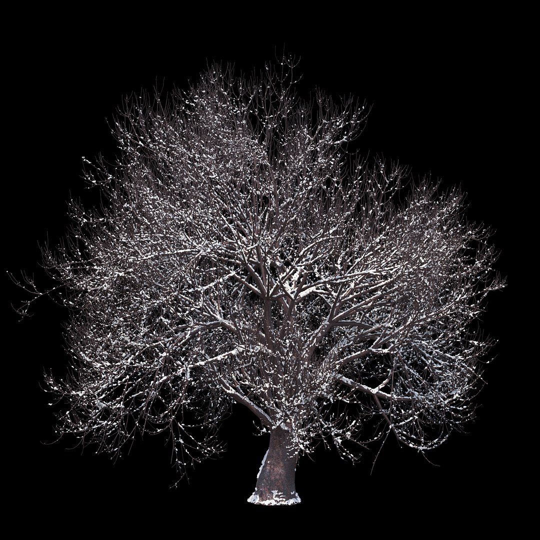 Winter Tree 04 Model - TurboSquid 1223740