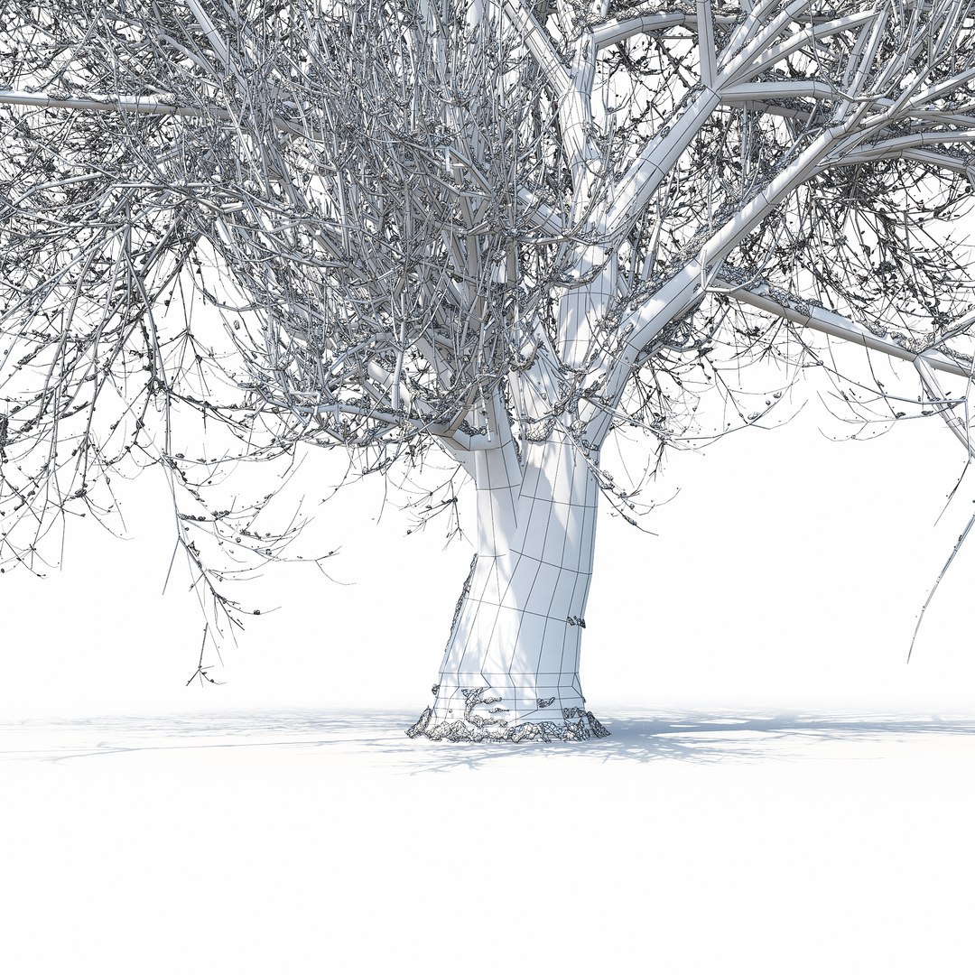 Winter Tree 04 Model - TurboSquid 1223740