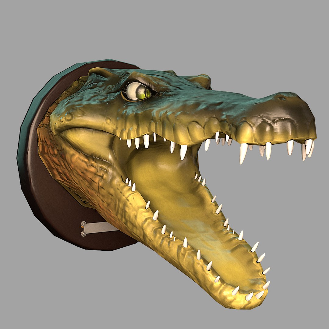 Crocodile Head Trophy Model - TurboSquid 2054457