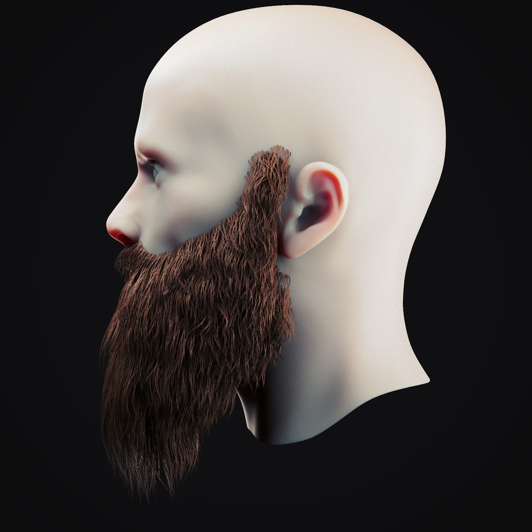 Beard 16 3D Model - TurboSquid 1489873