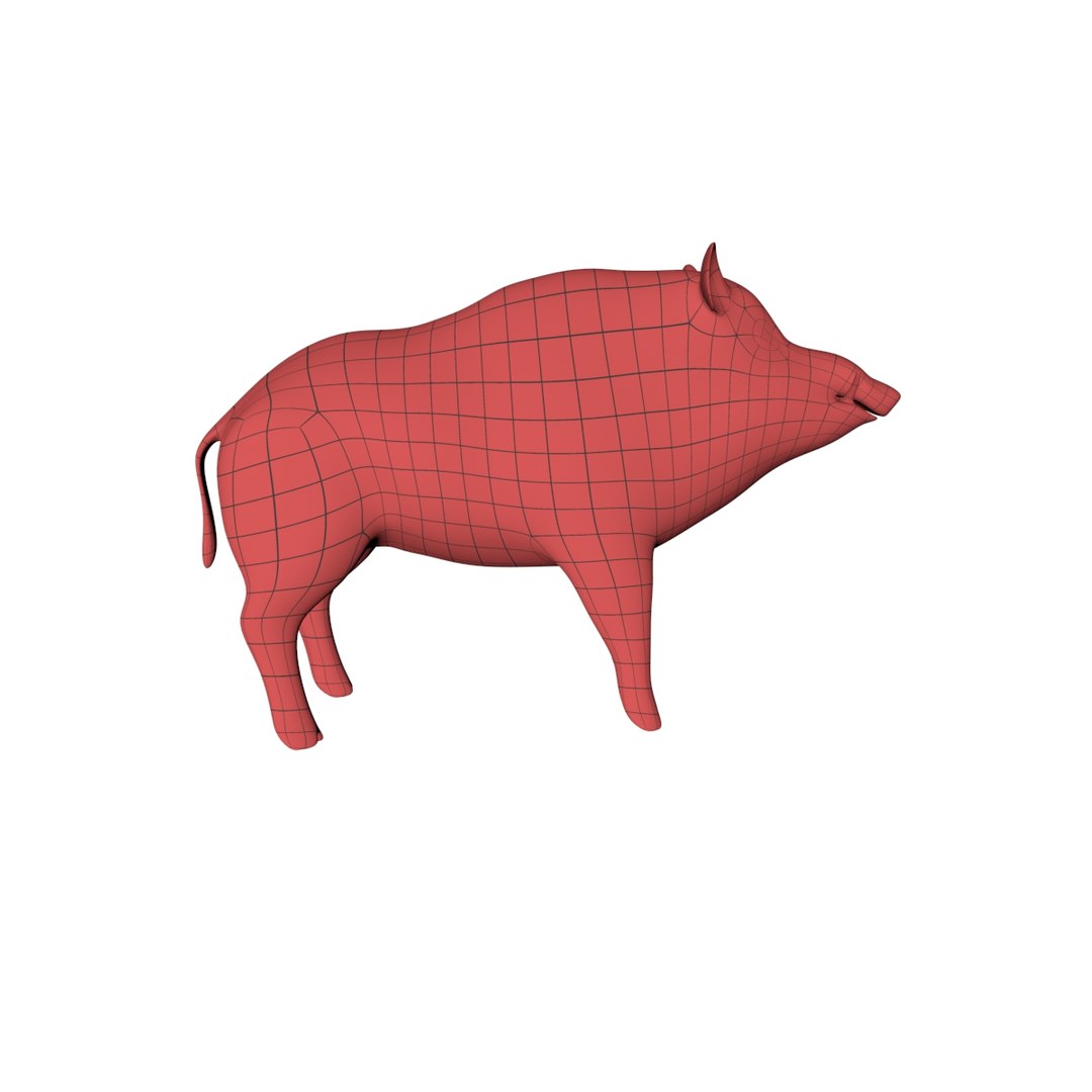 Base Mesh Wild Boar 3d Obj