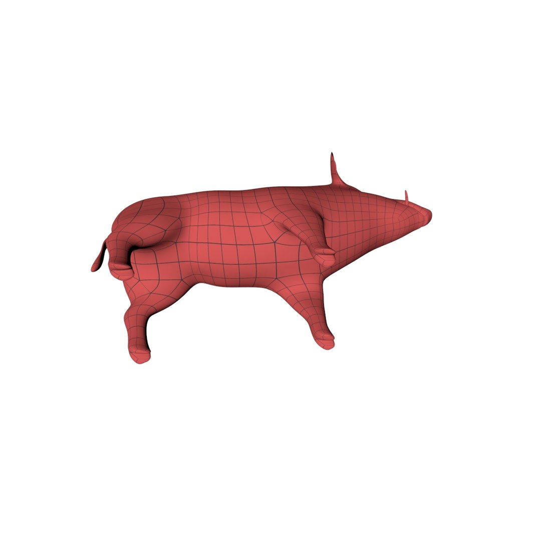 Base Mesh Wild Boar 3d Obj