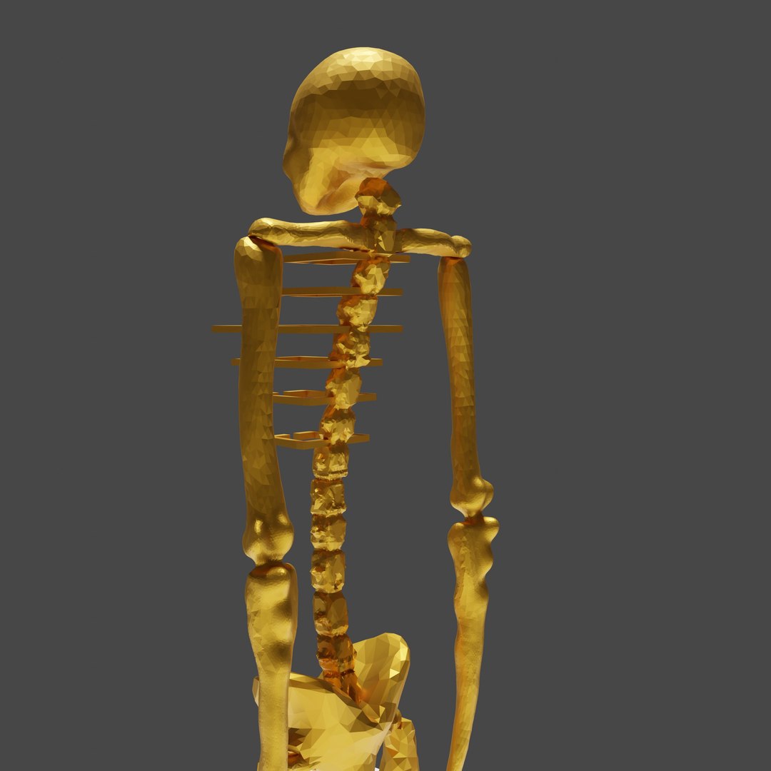 3D Model Golden Skeleton Robot - TurboSquid 2183768