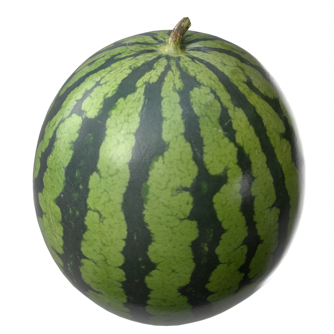 3D Model Watermelon - TurboSquid 1769760