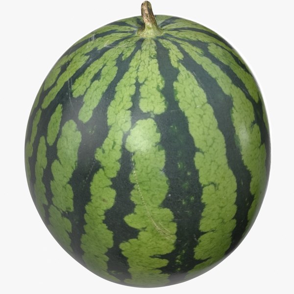 3D model Watermelon - TurboSquid 1769760