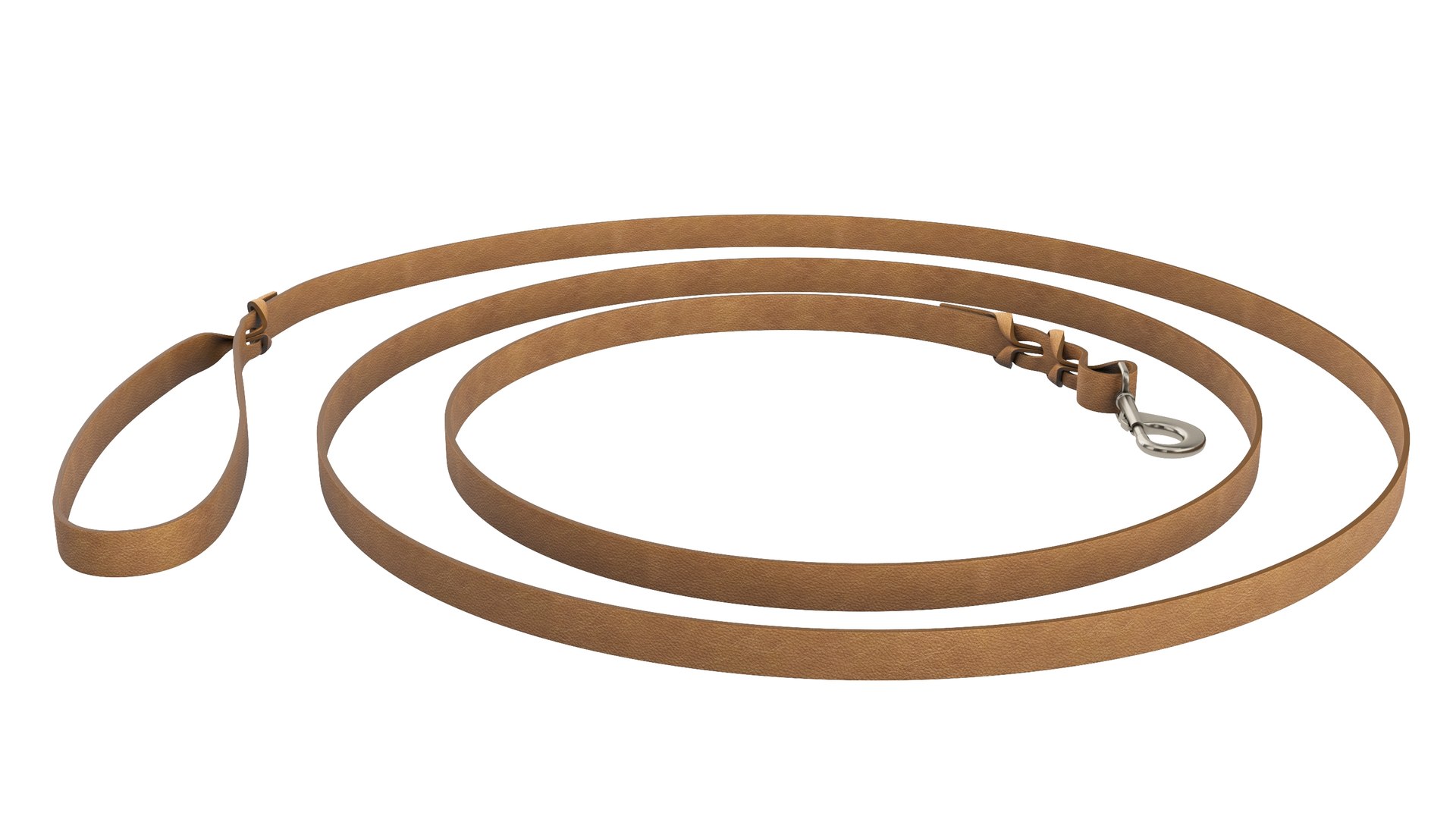 3D Model Pet Leash - TurboSquid 1990493