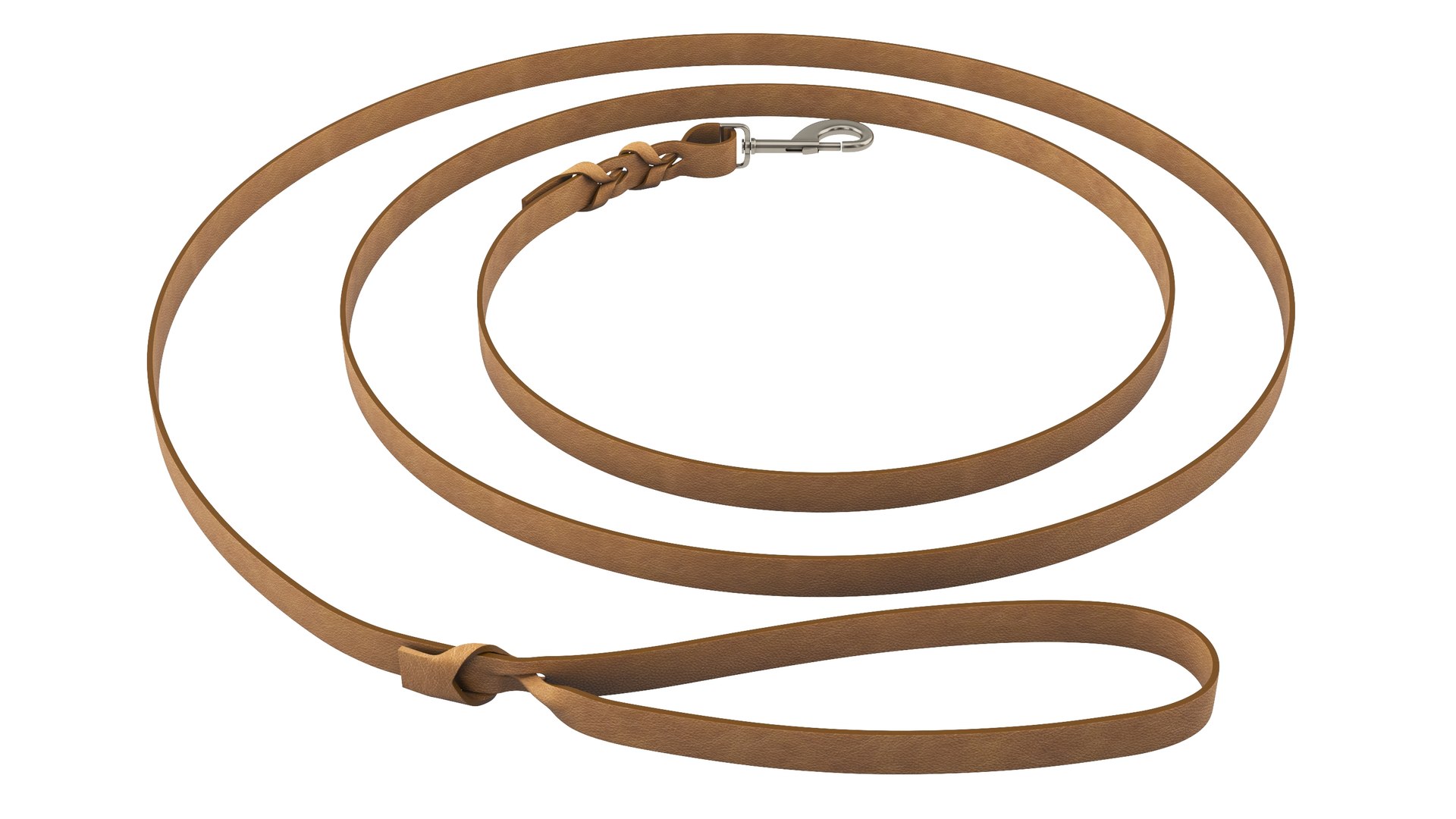 3D Model Pet Leash - TurboSquid 1990493