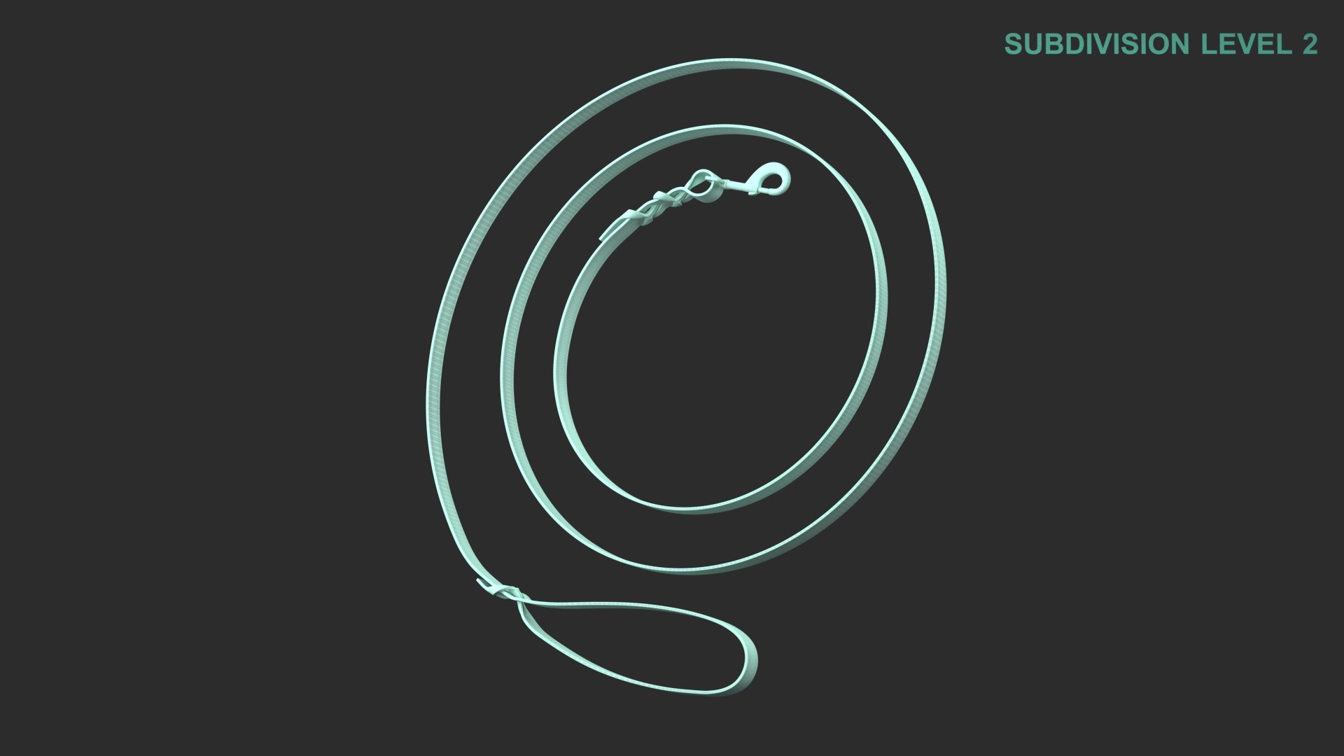 3D Model Pet Leash - TurboSquid 1990493