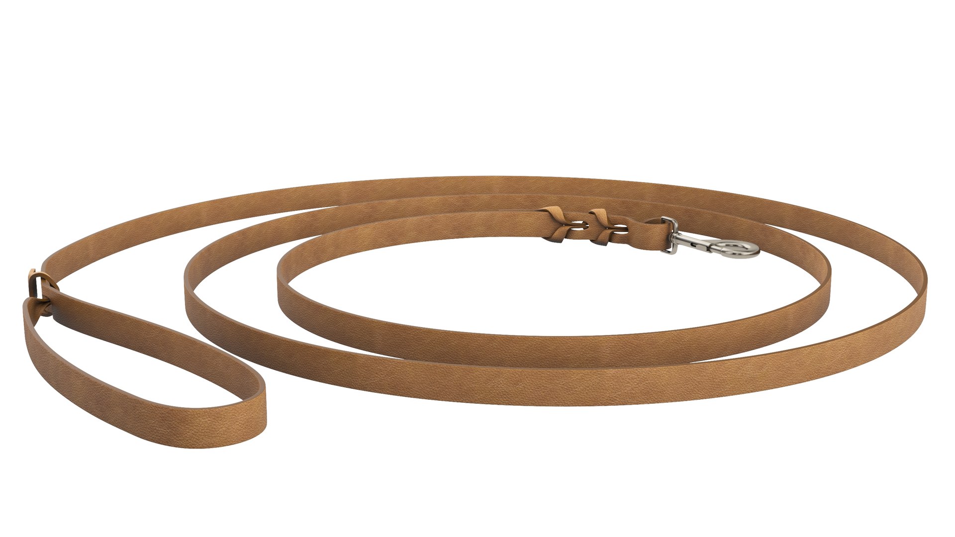 3D Model Pet Leash - TurboSquid 1990493