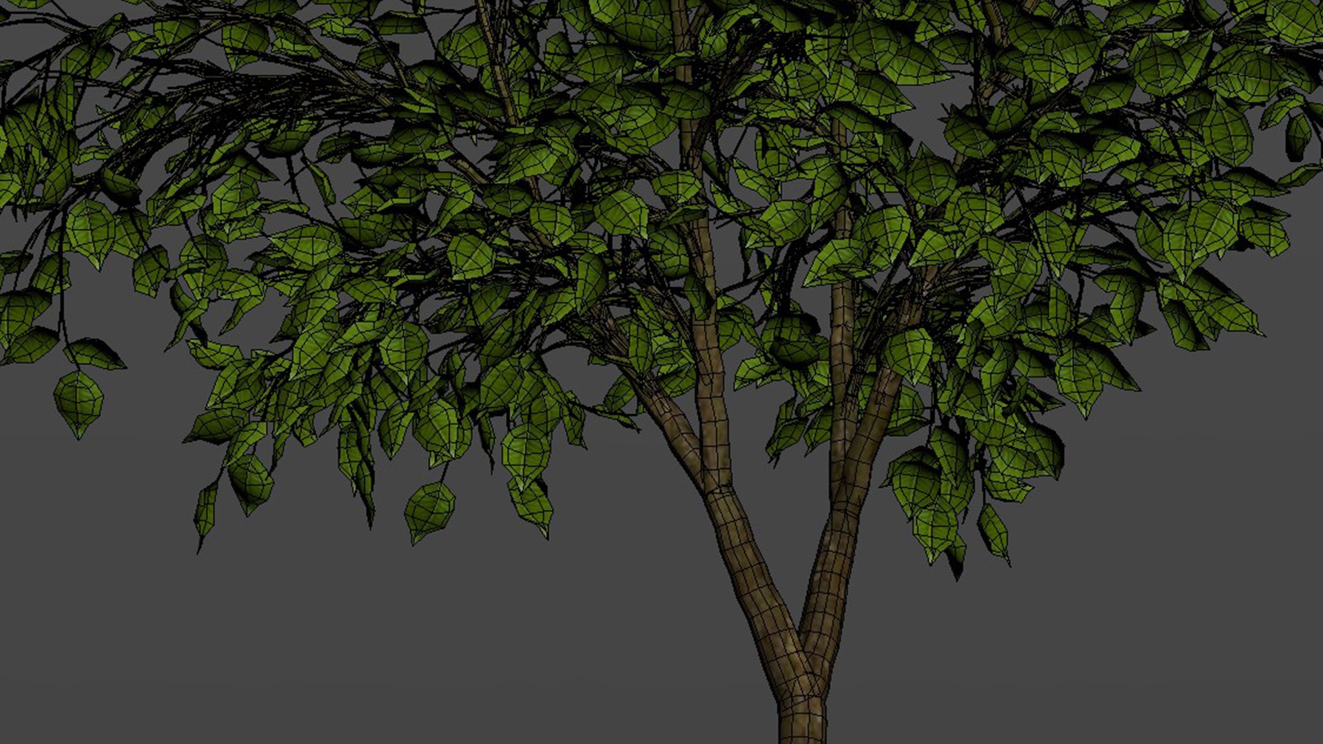 3D Tree In The City Model - TurboSquid 1783509