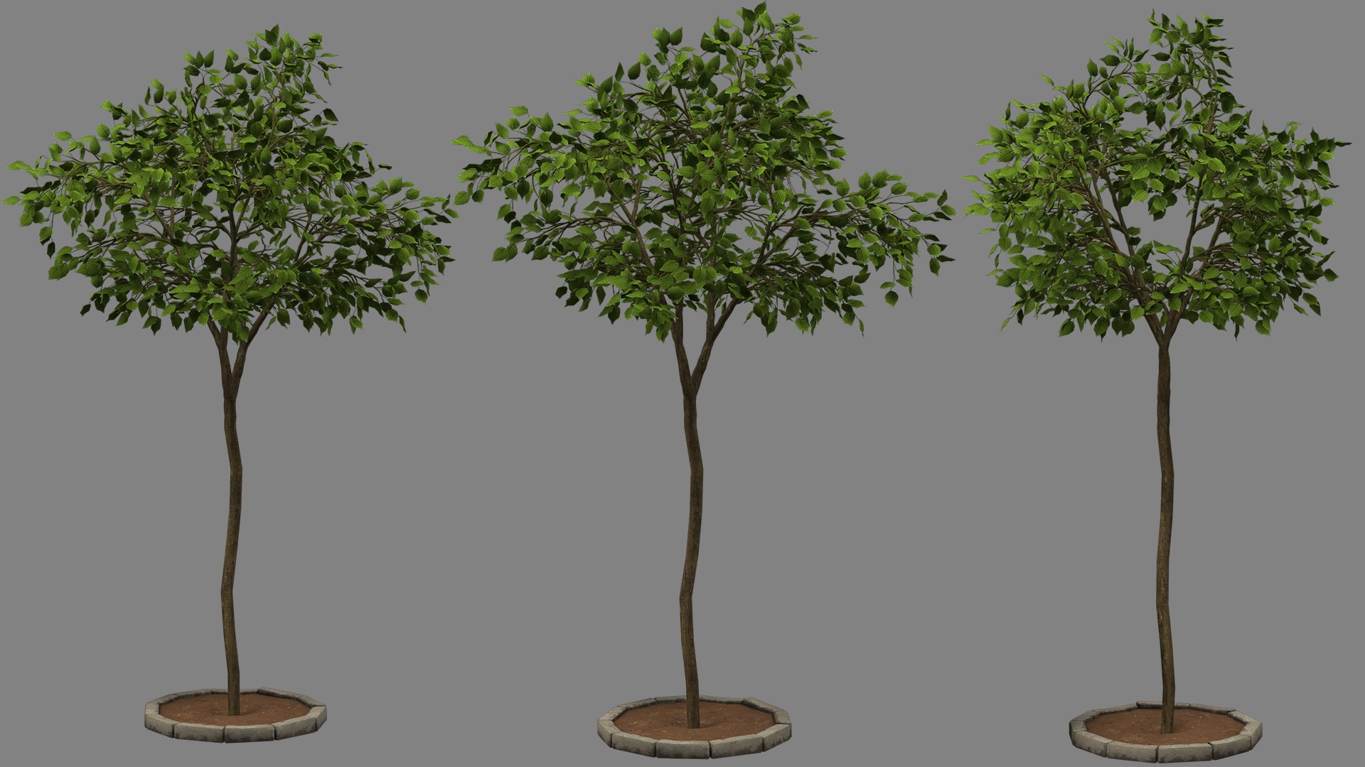 3D Tree In The City Model - TurboSquid 1783509