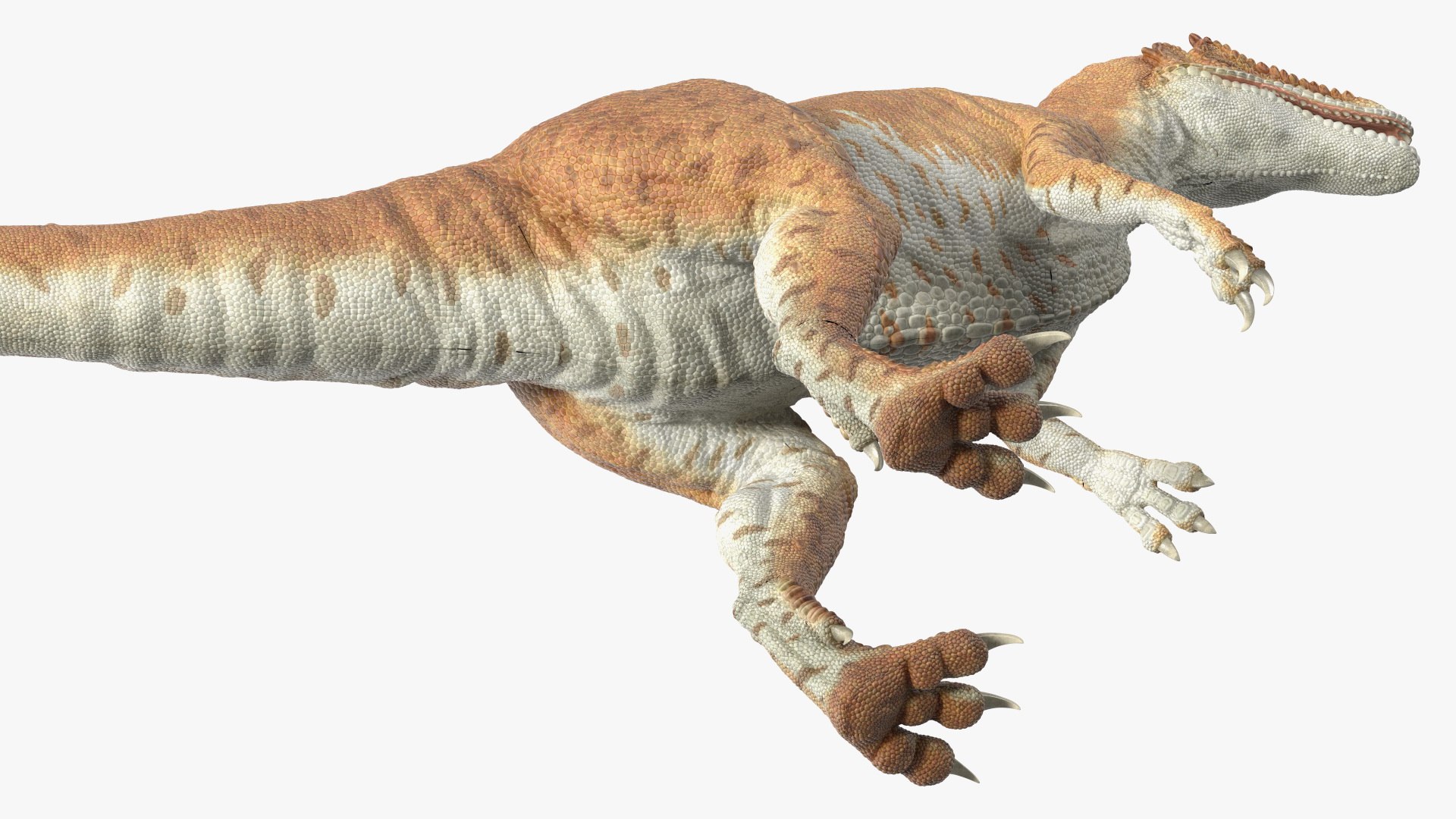 3D Allosaurus Yellow Coloring Rigged model - TurboSquid 2159224