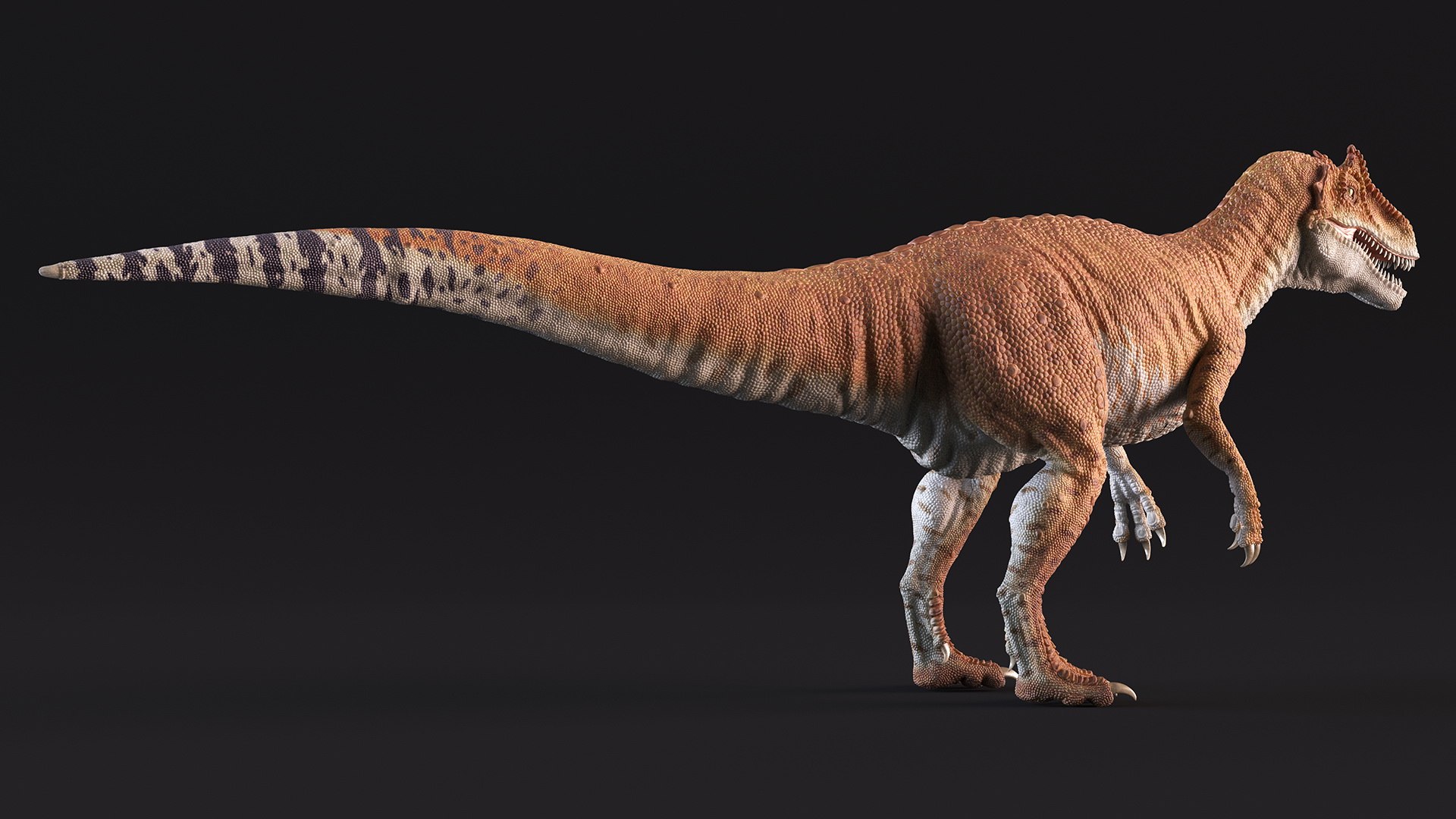 3D Allosaurus Yellow Coloring Rigged Model - TurboSquid 2159224