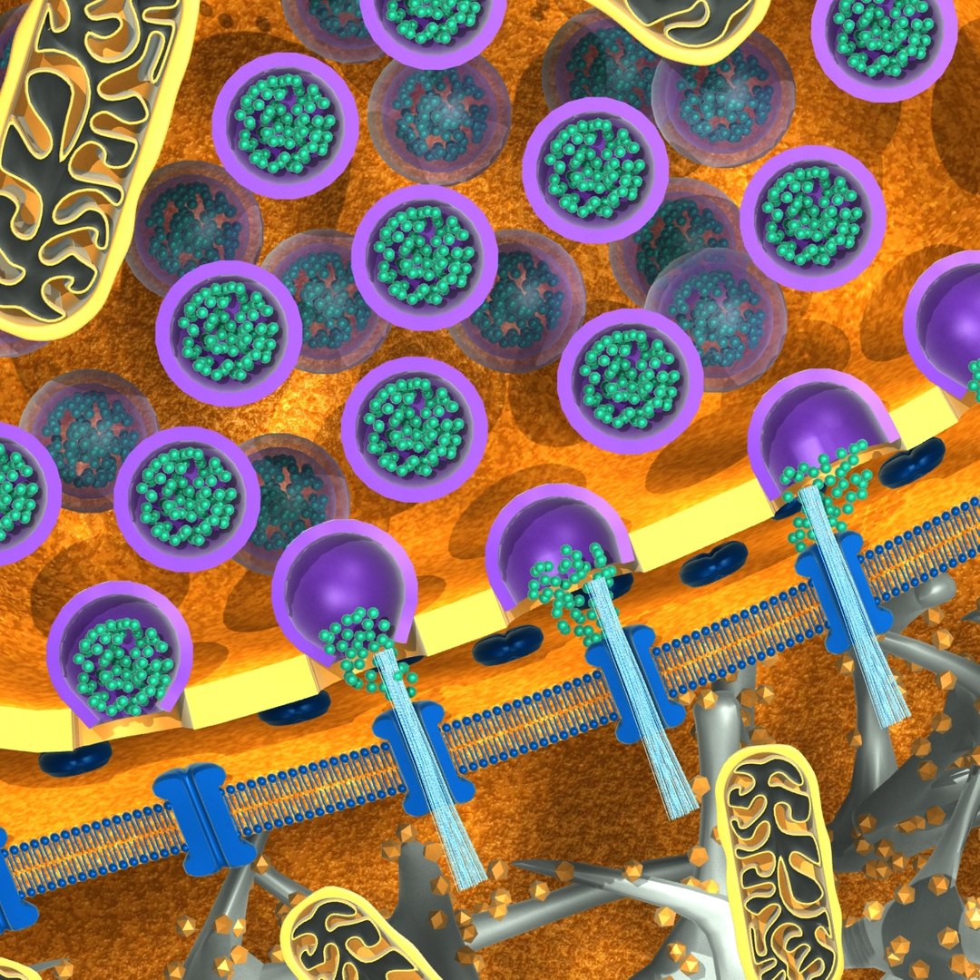 Body Neuron Cell 3d Model