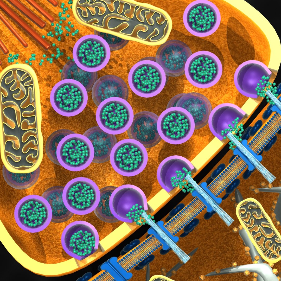 Body Neuron Cell 3d Model