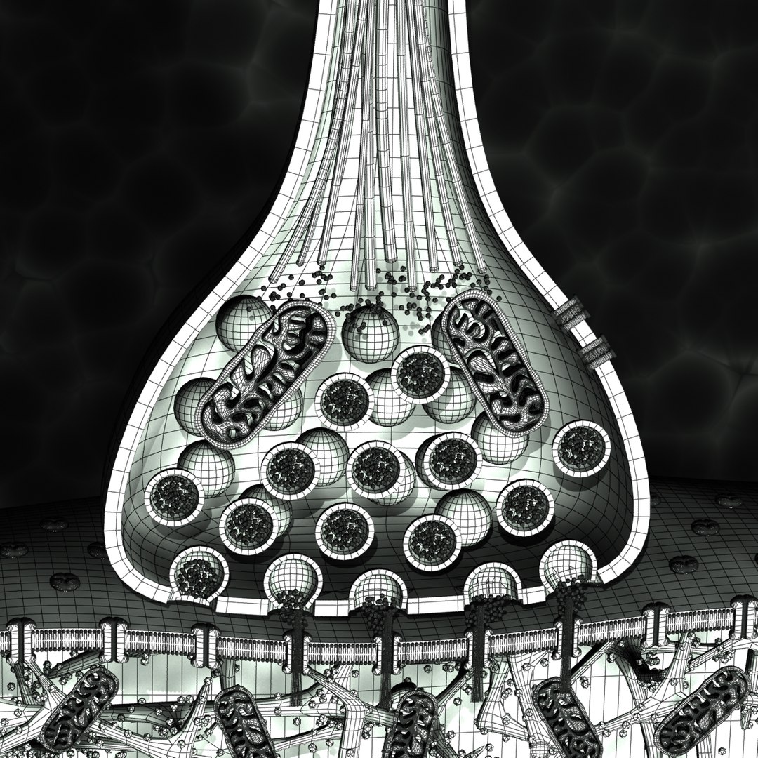Body Neuron Cell 3d Model