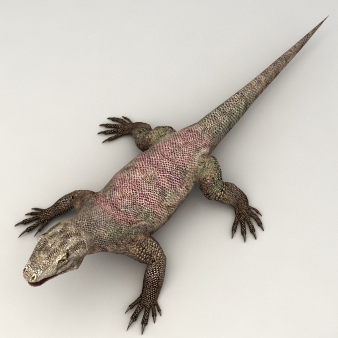 Monitor Lizard Ged 3d Max