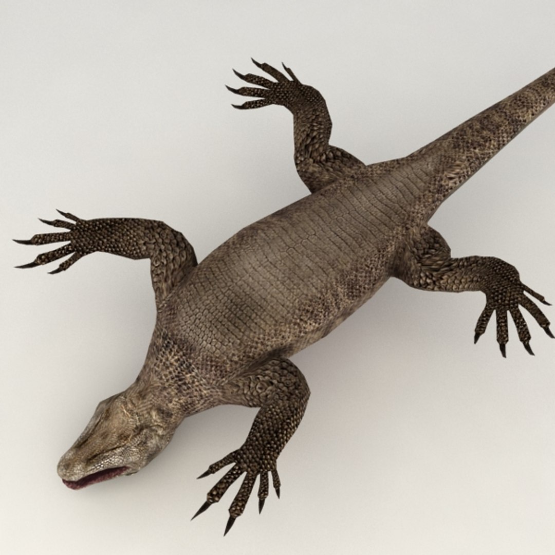 Monitor Lizard Ged 3d Max
