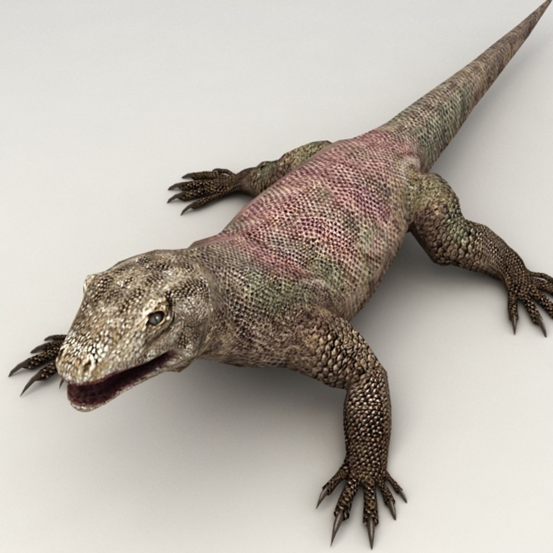 Monitor Lizard Ged 3d Max