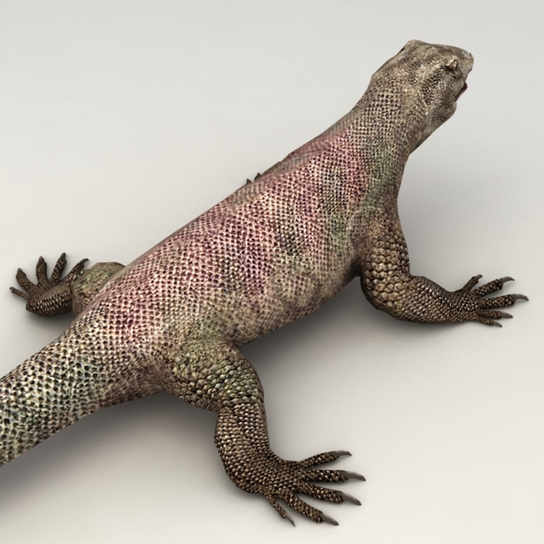 Monitor Lizard Ged 3d Max