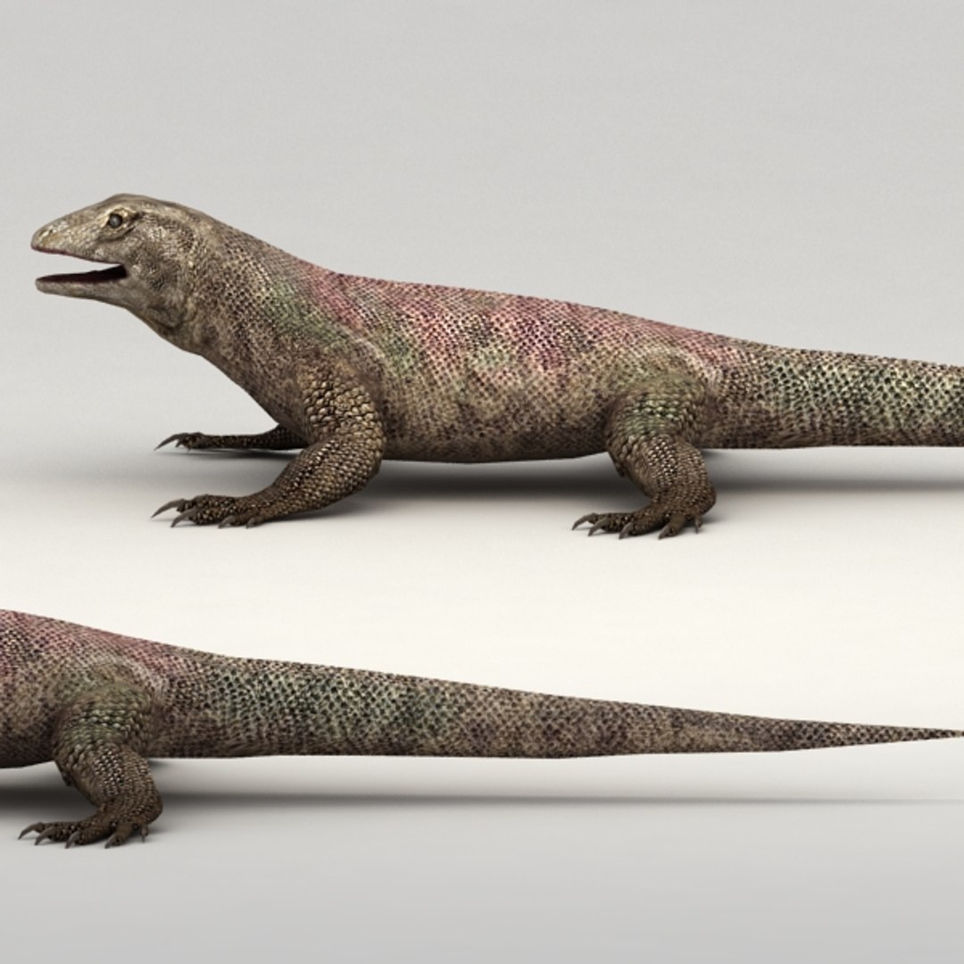 Monitor Lizard Ged 3d Max