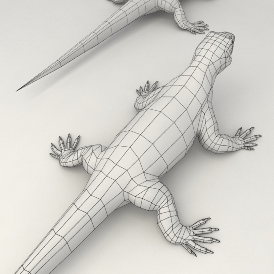 Monitor Lizard Ged 3d Max