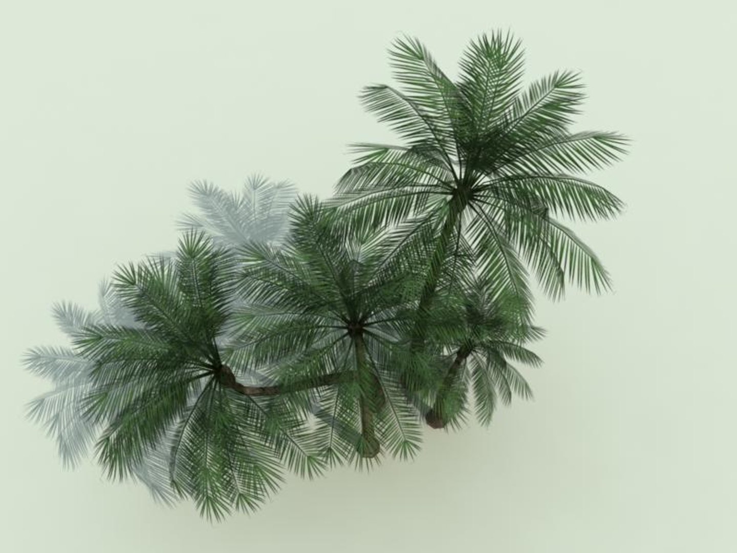 3d palm tree model