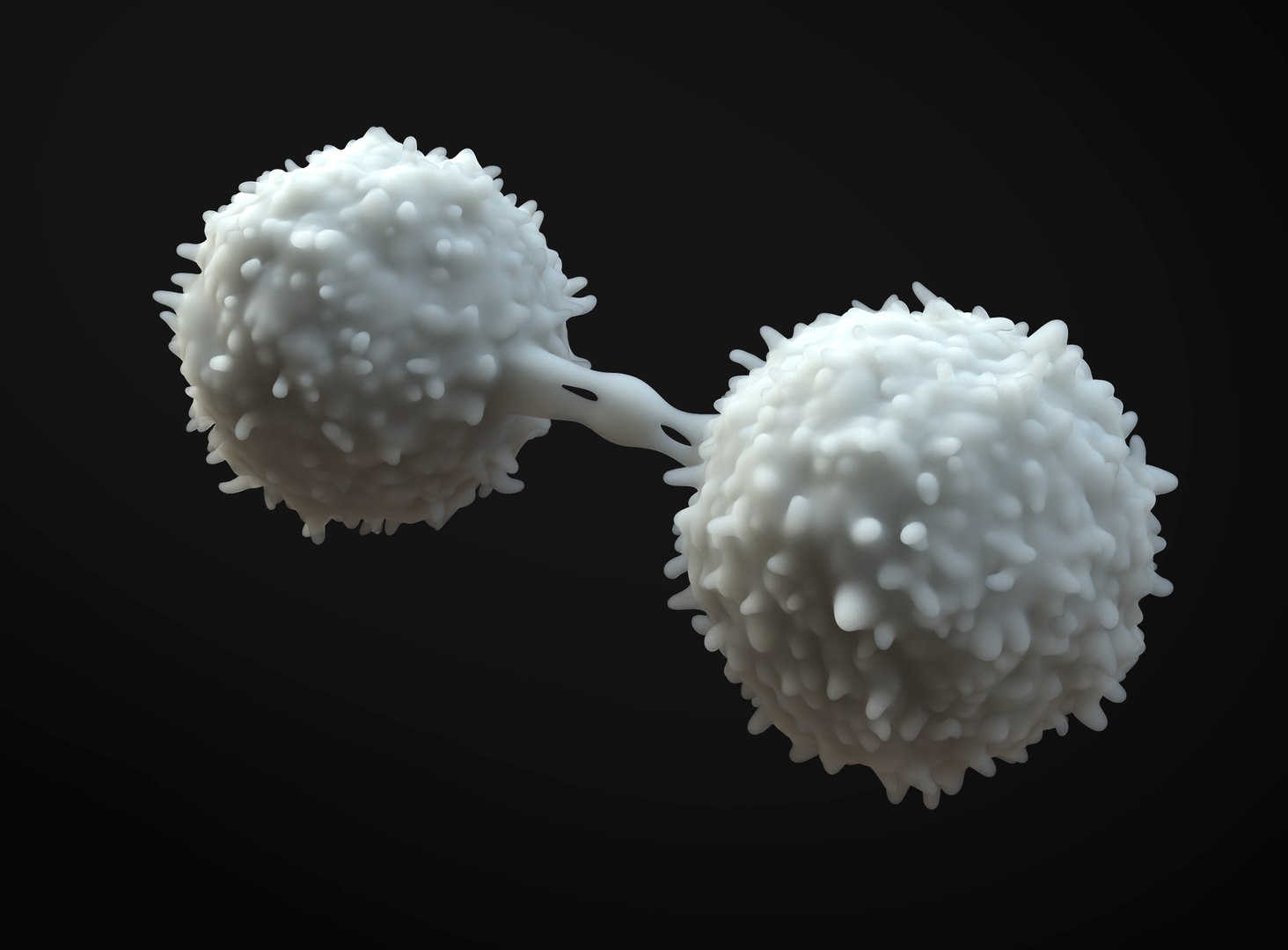 Lymphocyte Blood Cells 3D Model - TurboSquid 1497743